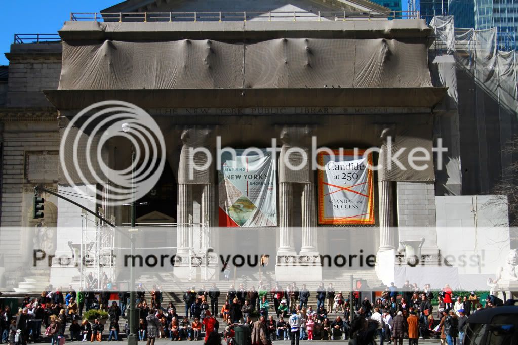 A Trip to the Veterinarian - Another NYC Walk - The Dive Watch Connection